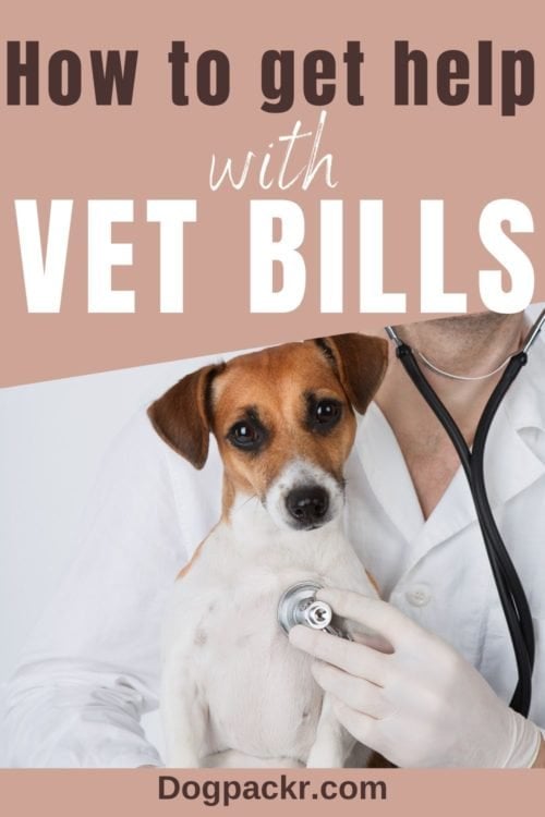 How to pay vet bills, even in emergencies - dogpackr