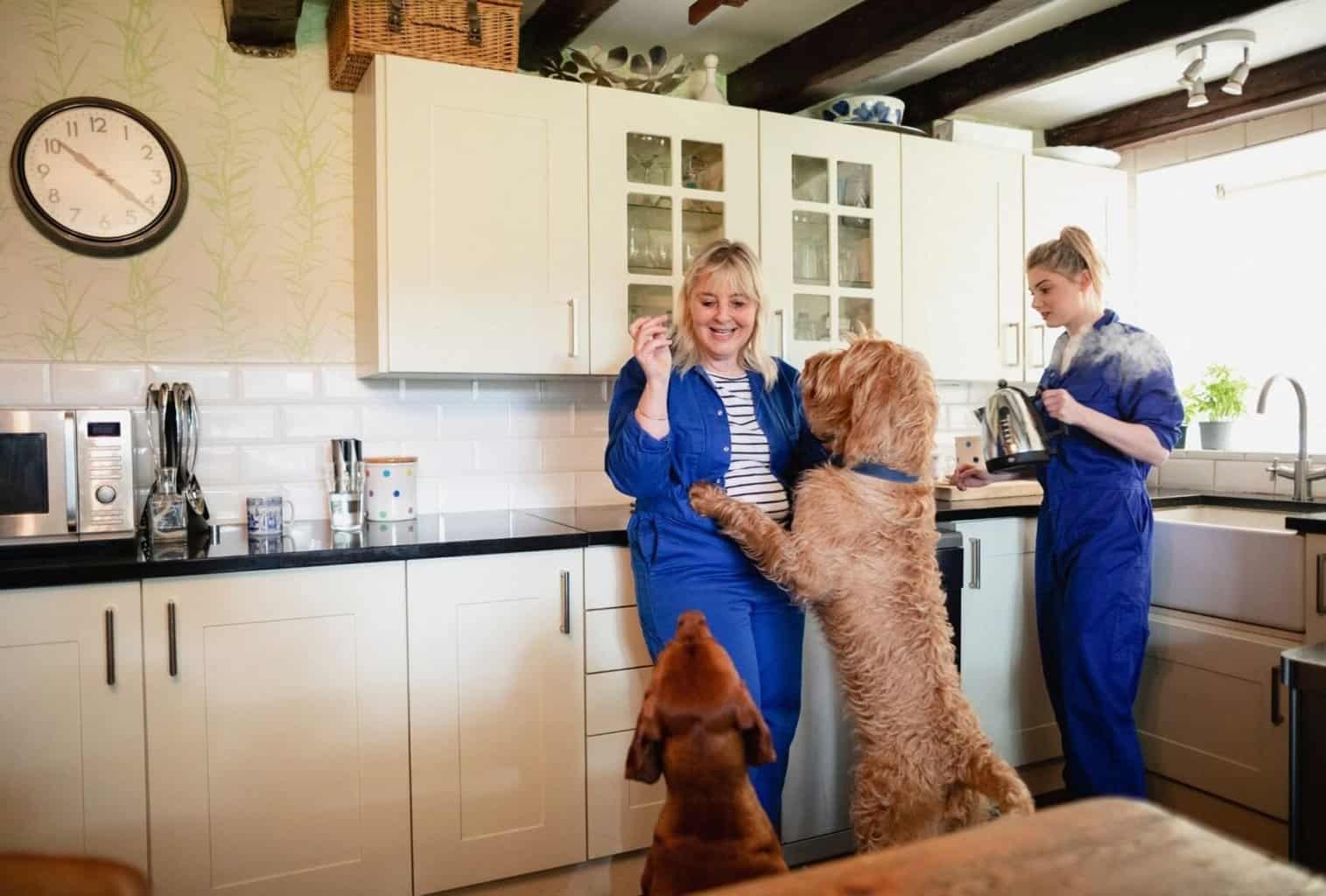 Over Excited Dog with Visitors – Here’s What to Do! - dogpackr