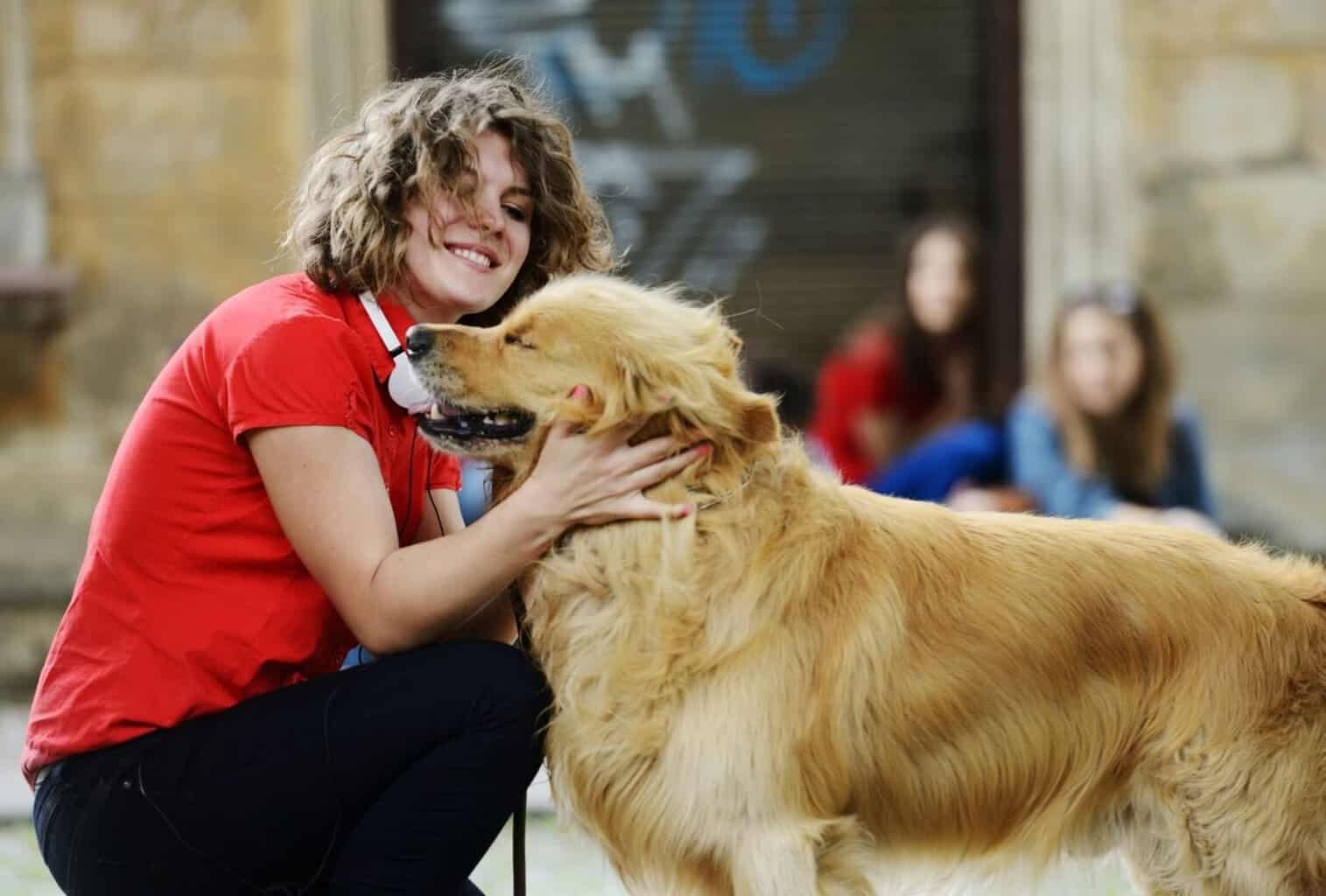 Over Excited Dog with Visitors – Here’s What to Do! - dogpackr