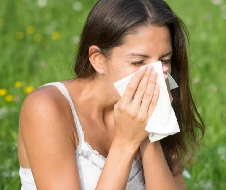 Why does my dog sit and spin in circles? - dogpackr